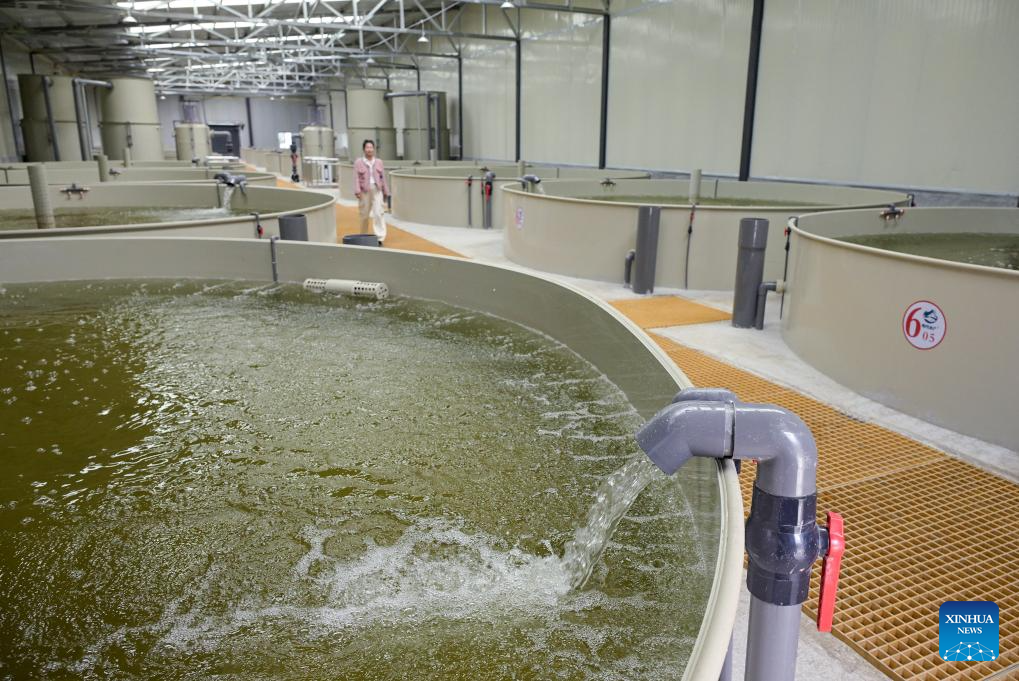 Seafood Media Group - Worldnews - Aquaculture industry thrives in Milin ...