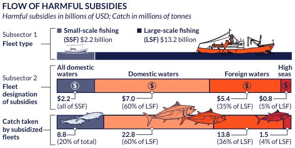 FIS - Companies & Products - The harmful fishing subsidies granted by ...