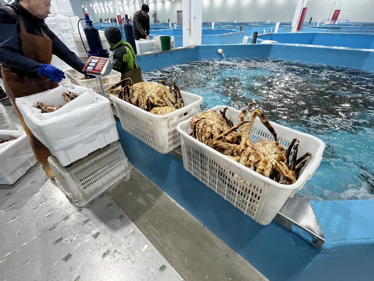Seafood Media Group - Worldnews - China Shores Up 'Golden Channel' for ...