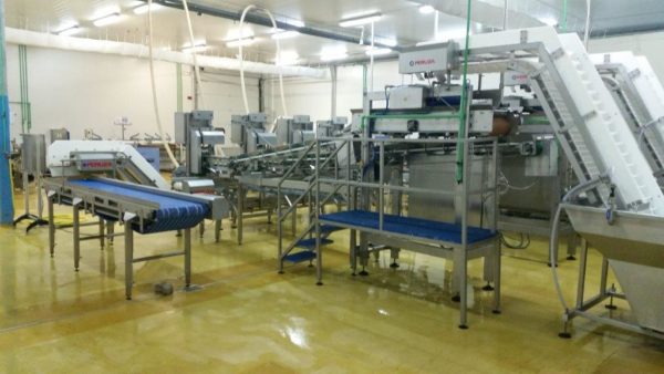 Seafood Media Group - Worldnews - From Fish to Fork: The Technology ...