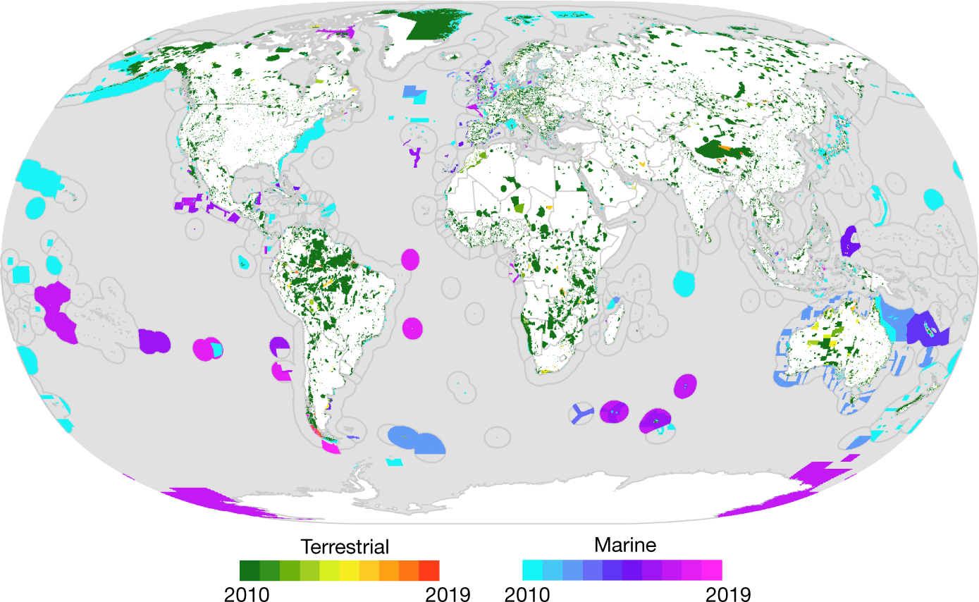 Seafood Media Group - Worldnews - How can ocean authorities cooperate ...
