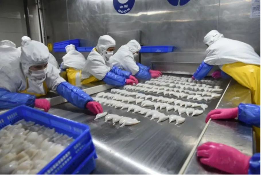 Seafood Media Group - Worldnews - Chinese squid fleet: Zhoushan Port ...