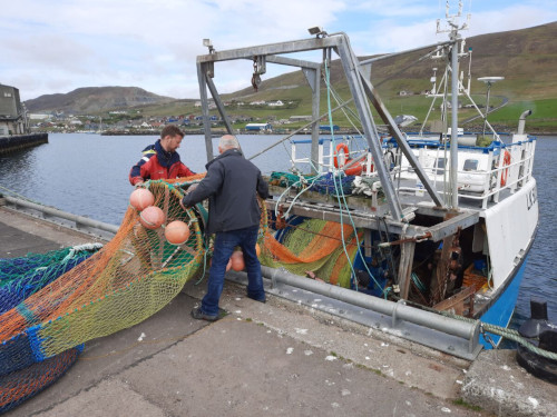 Seafood Media Group - Worldnews - AI-empowered fishing net to help ...