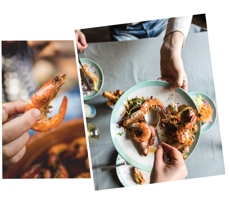 Seafood Media Group - Worldnews - ‘Our priority is the ocean ...