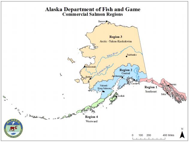 Seafood Media Group - Worldnews - Alaska 2021 salmon season is one for ...