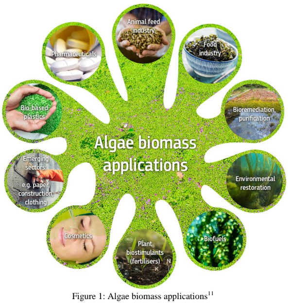 Seafood Media Group - Worldnews - Commission proposes action to fully ...