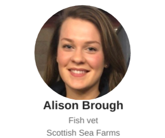 FIS - Companies & Products - Leap to 'pastures blue' earns fish vet ...