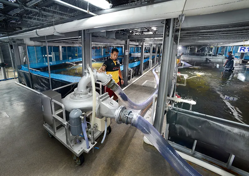 Seafood Media Group - Worldnews - High-Tech Fish Farm Resurrected by ...