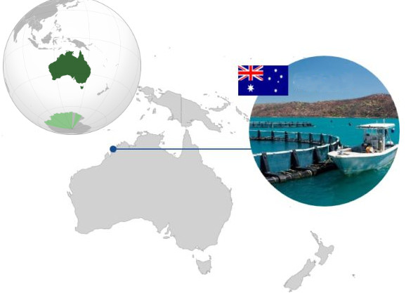 Seafood Media Group - Noticias - Cooke compra una granja de lubina ...