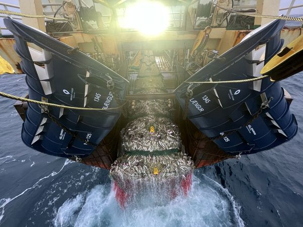 Seafood Media Group - Noticias - El arrastrero congelador Blængur NK ...