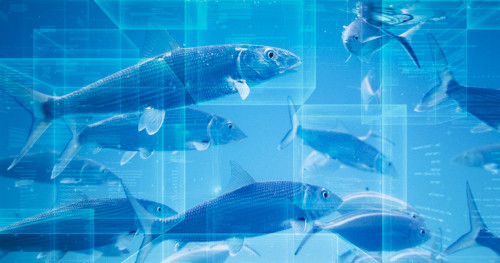 Seafood Media Group - Worldnews - Blockchain technology can make ...