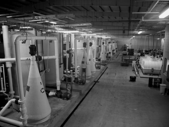 FIS - Suppliers - Company Details