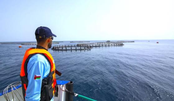 Seafood Media Group - Worldnews - Sea Bream Farm is Oman’s First ...