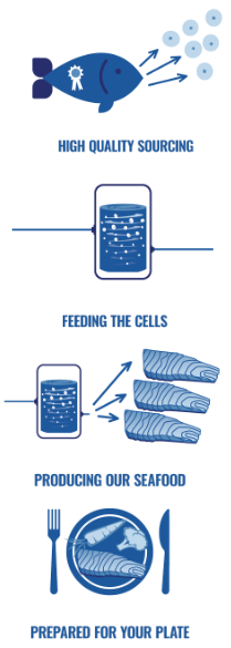 Seafood Media Group - Worldnews - NFI Welcomes BlueNalu, Pioneers Cell ...