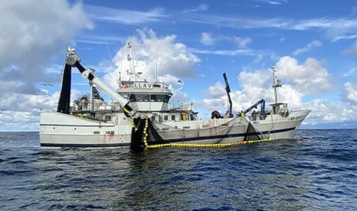 Seafood Media Group - Worldnews - Caught 39 bluefin tuna with an ...
