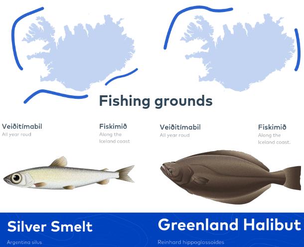 FIS - Companies & Products - Short trip on silver smelt