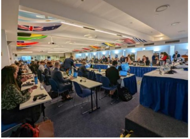 Seafood Media Group - Worldnews - Negotiations to conserve Antarctic ...