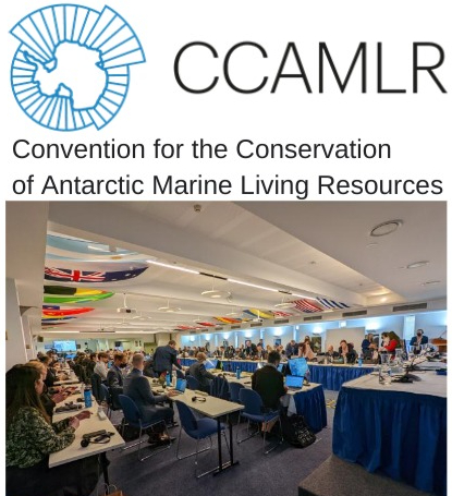 FIS - Worldnews in Brief - Other Media | The Fish Site: Rhode Island's ...