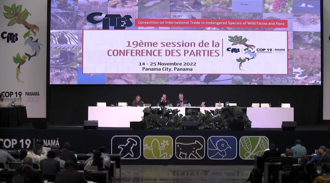 FIS - Companies & Products - Explainer: Why CITES matters for marine ...