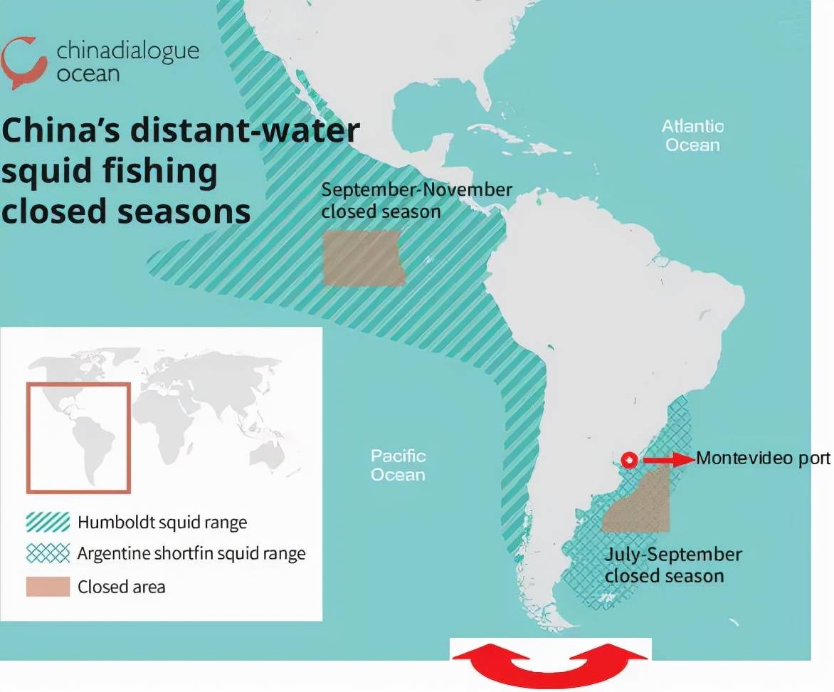 Seafood Media Group - Worldnews - Chinese vessels fishing for squid in ...