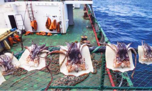 Seafood Media Group - Worldnews - China did not want to increase ...