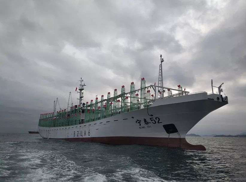 Seafood Media Group - Noticias - China apunta a fortalecer la gestión ...