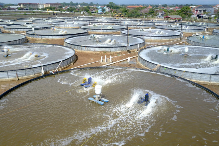 Seafood Media Group - Worldnews - Indonesia aims for sustainable fish ...