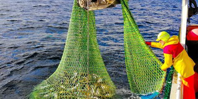 Seafood Media Group - Worldnews - Cod quota transfer from 2023 to 2024