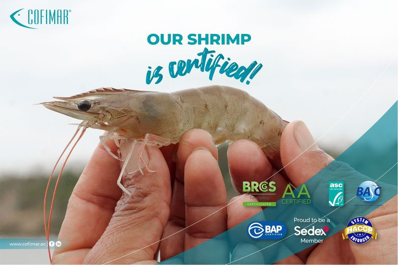 Seafood Media Group - Worldnews - FDA Announces More Rejections of ...