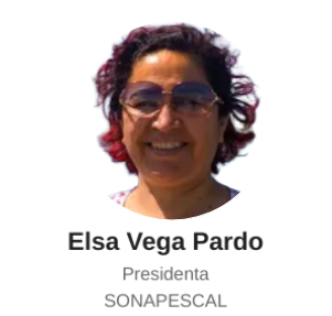 Seafood Media Group - Noticias - Alerta de CALAMASUR: Flota de pesca ...