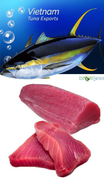 Seafood Media Group - Worldnews - Vietnam's tuna exports to the US ...