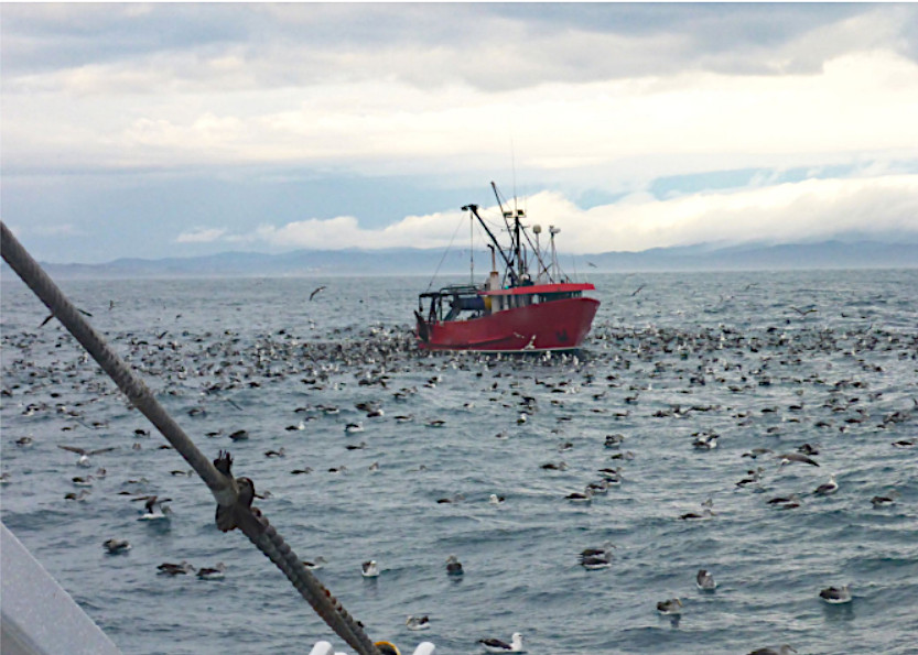 Seafood Media Group - Worldnews - A global perspective on fisheries ...