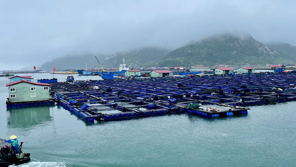 Seafood Media Group - Worldnews - Asian, Pacific journalists visit huge ...