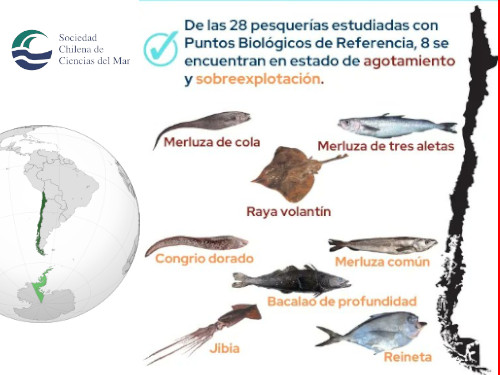 Seafood Media Group - Noticias - Recursos pesqueros en crisis: Informe ...