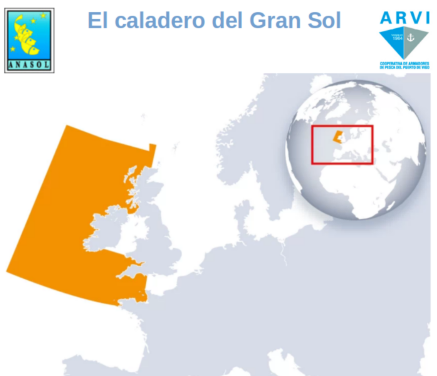 Seafood Media Group - Noticias - Resultados satisfactorios para ARVI