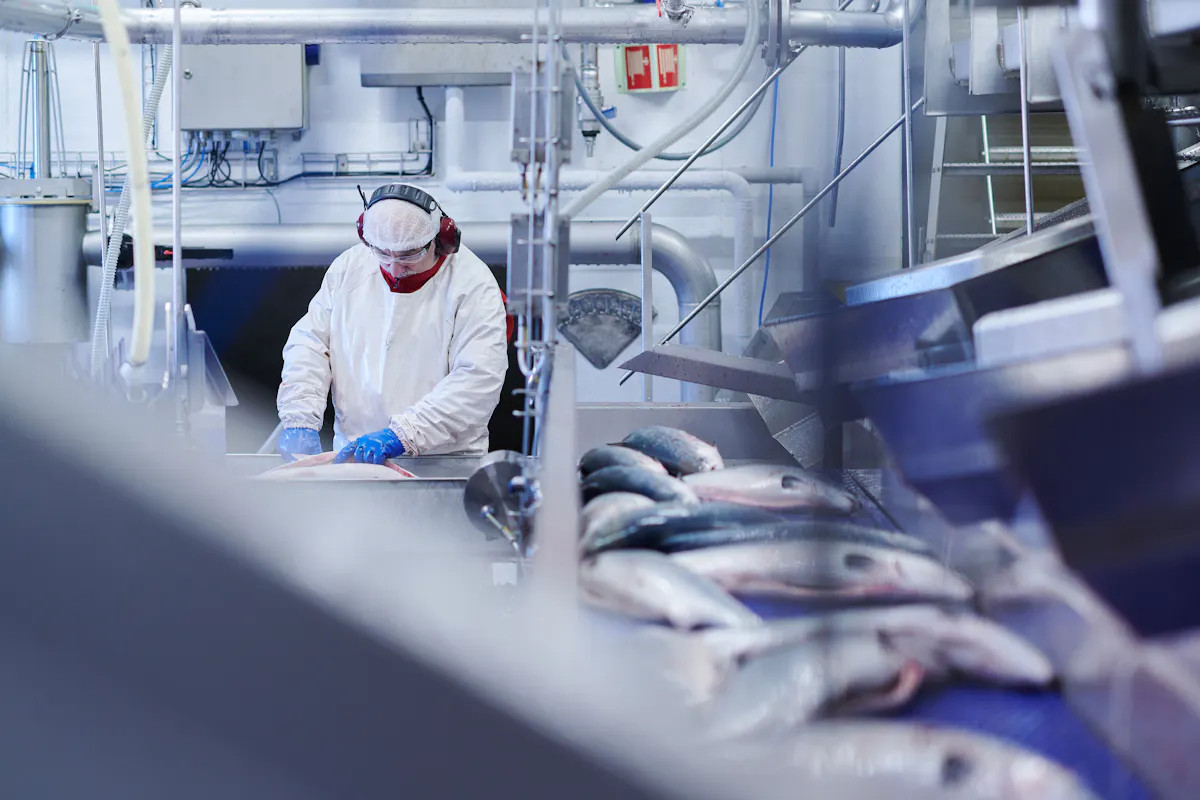 FIS - Companies & Products - Grieg Seafood ASA: Update on anti-trust ...