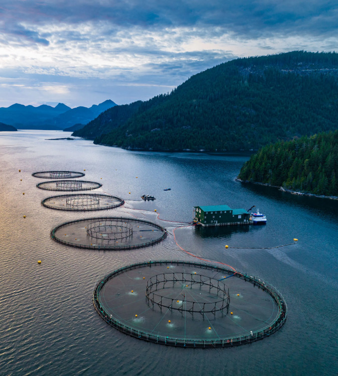 Seafood Media Group - Worldnews - Grieg Seafood welcomes five-year ...