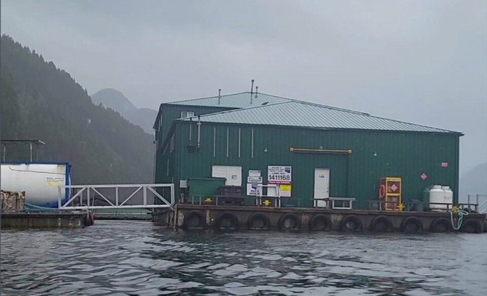 Seafood Media Group - Worldnews - Mass mortality event kills hundreds ...