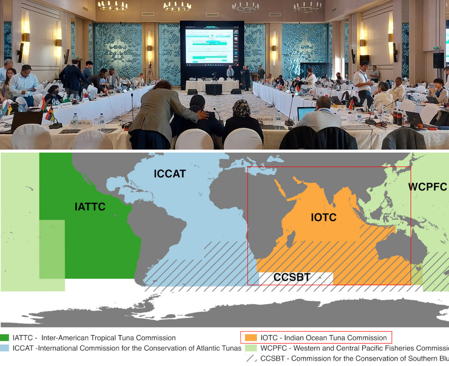 Seafood Media Group - Worldnews - IOTC adopts catch limits and ...