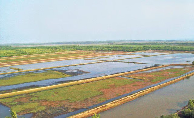 Seafood Media Group - Worldnews - Judge in Tamil Nadu Orders Closure of ...