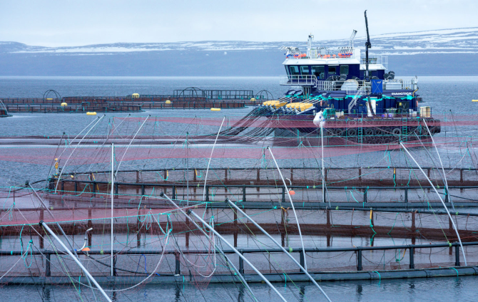 Seafood Media Group - Noticias - Sergey Dankvert: situación con las ...