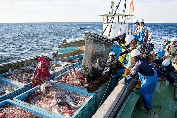 FIS - Companies & Products - Japanese Authorities to Help Local Fishing ...