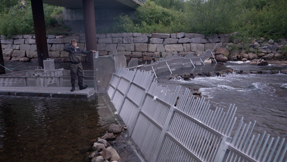 Seafood Media Group - Worldnews - 'We have declared a war on Pink ...