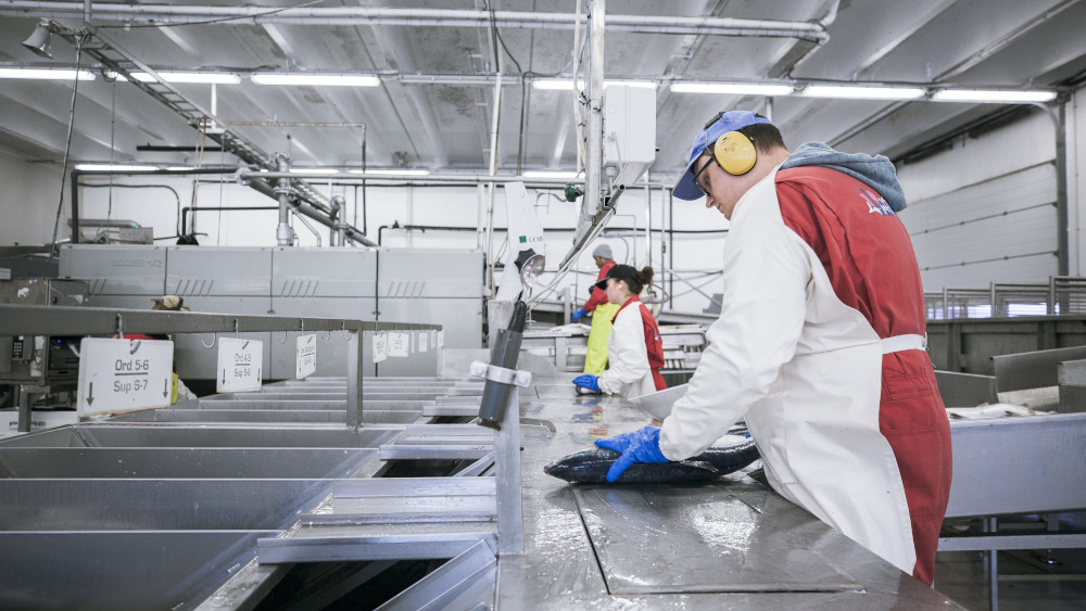 FIS - Companies & Products - Ode acquire its own cod processing plant