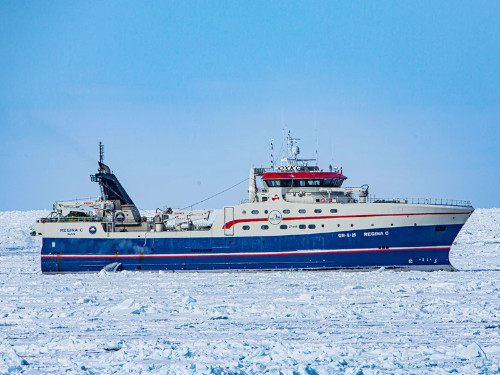 Seafood Media Group - Worldnews - Mackerel (Scomber scombrus ...