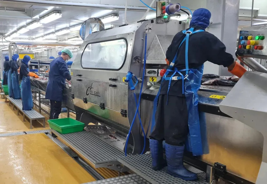 Seafood Media Group - Worldnews - Transforming tuna processing