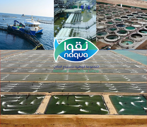 Seafood Media Group - Worldnews - SALIC and NAQUA Commit to a Strategic ...