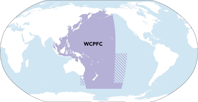 Seafood Media Group - Worldnews - More U.S.-Caught Pacific Bluefin Tuna ...