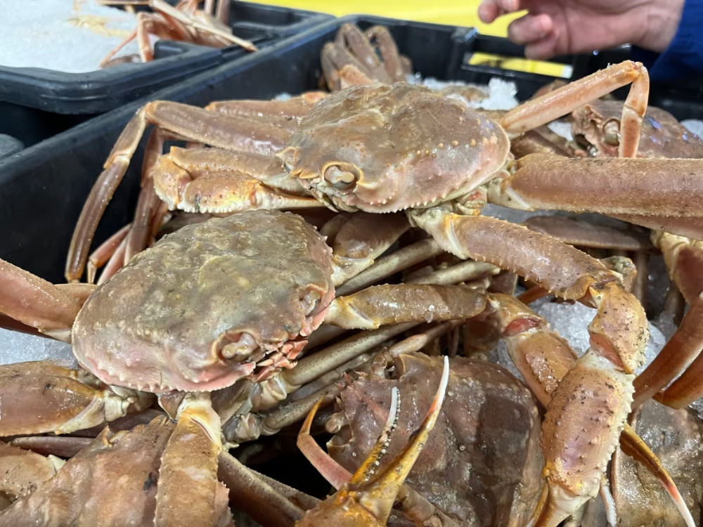 Seafood Media Group - Noticias - El sector pesquero de Nueva Escocia ...
