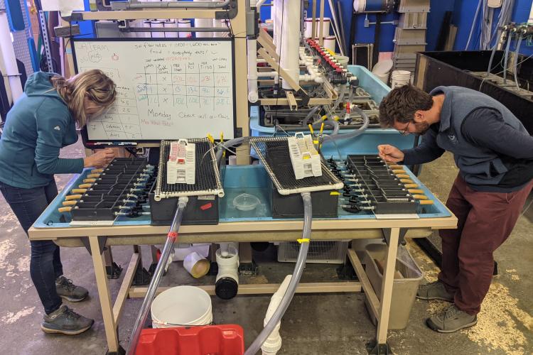 Seafood Media Group - Worldnews - NOAA: Collaboration with Canada ...